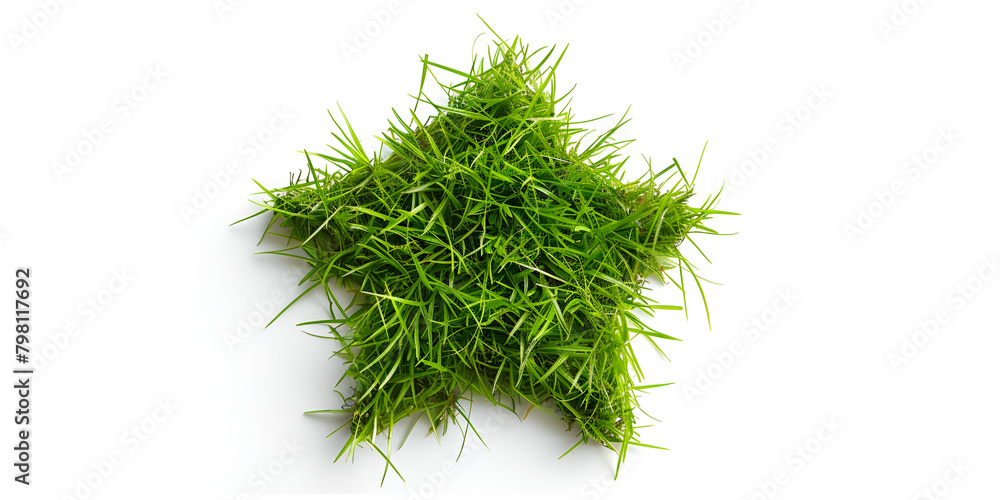 Star icon from green grass eco rating icon isolated on white background ...