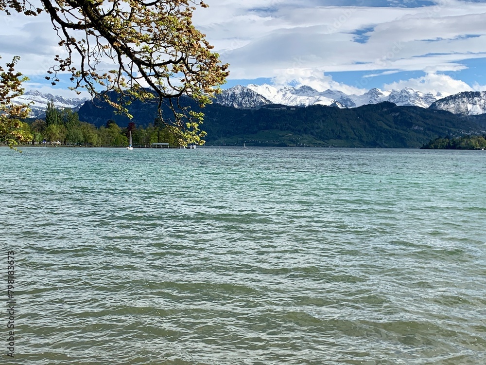 Vierwaldstättersee in der Stadt Luzern - mit Panorama in die Berge ...