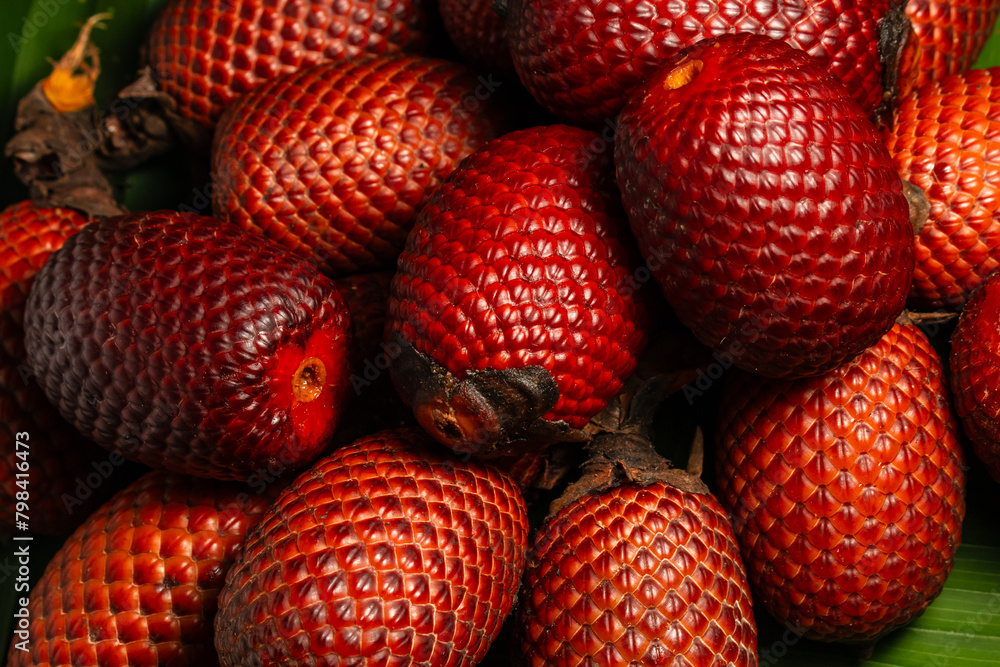 AGUAJE, A VERY CONSUMED FRUIT IN THE AMAZON REGIONS, AGUAJE OR BURUTI ...