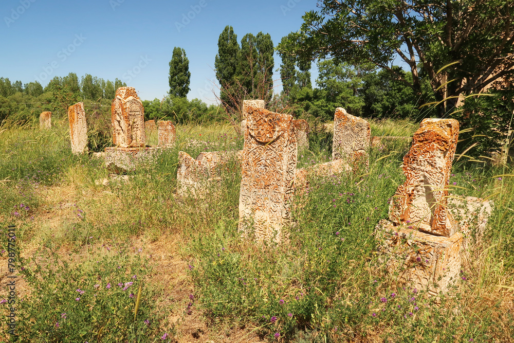 Seljuk graveyard, cemetery next to the Halime Hatun tomb, Halime Hatun ...