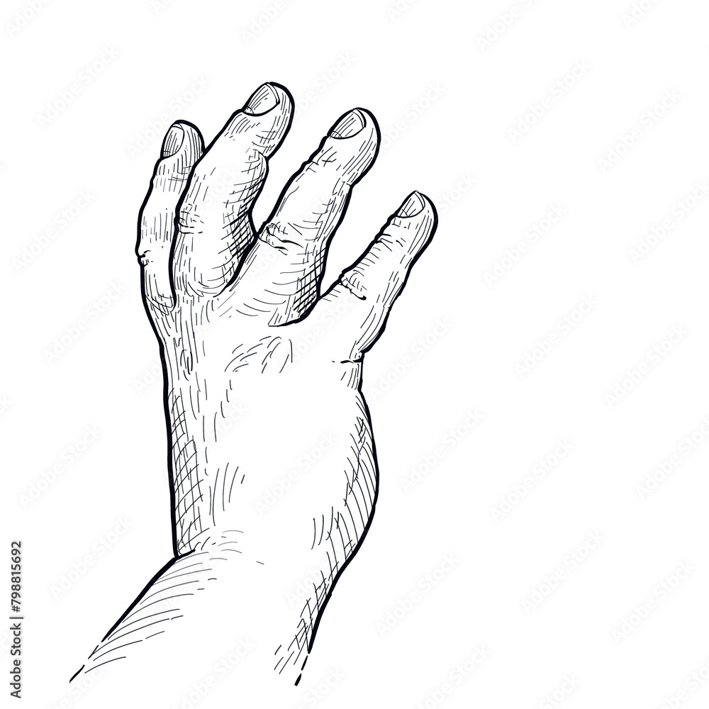 Close-up of single hand, hand language, black and white, png ...