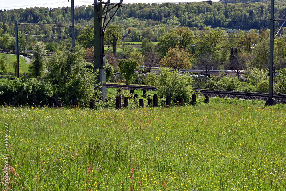 Metal rails in a row used as military fortified protection and anti ...