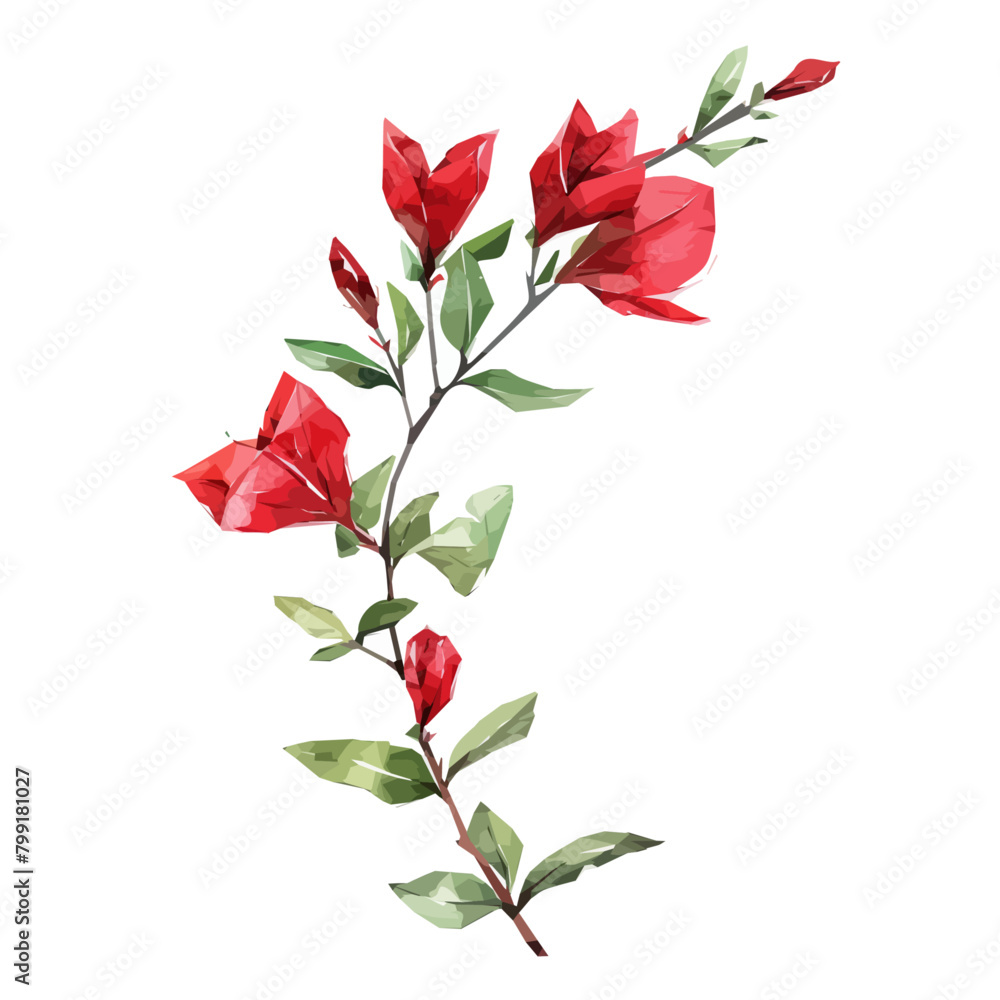 Watercolor painting vector of a chilean bellflower, isolated on a white ...