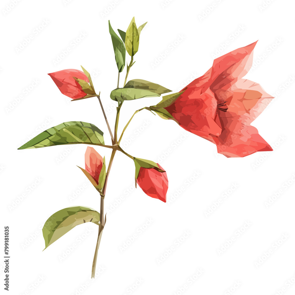 Watercolor clipart vector of a chilean bellflower, isolated on a white ...