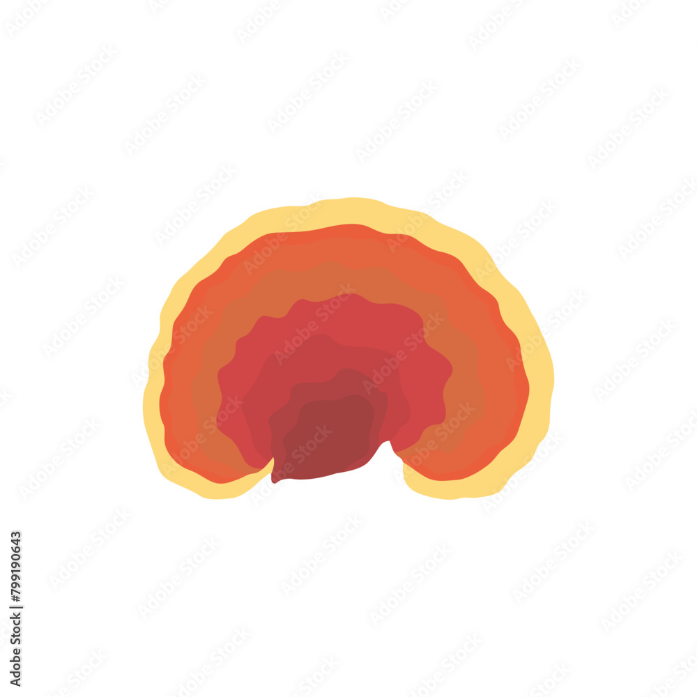 Vecteur Stock Vector illustration of Reishi Ganoderma lucidum mushroom ... Vecteur Stock Vector illustration of Reishi Ganoderma lucidum mushroom ...