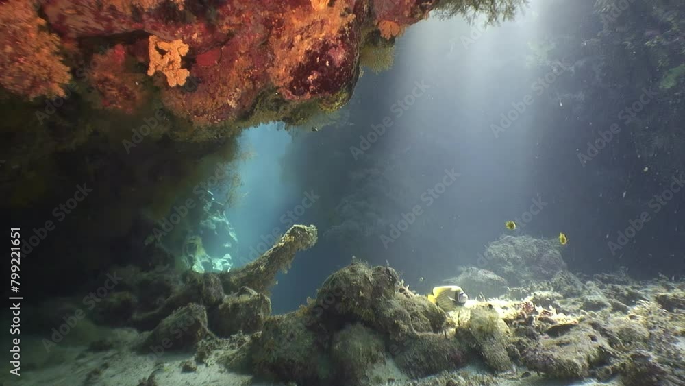 In wild nature of Red Sea, underwater cave enchants with its hidden ...