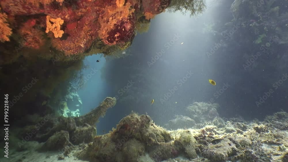 Unbridled beauty of Red Sea underwater cave with its secrets. Raw ...