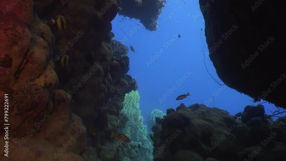 Vidéo Stock Intriguing underwater cave beckons with its hidden secrets ... Vidéo Stock Intriguing underwater cave beckons with its hidden secrets ...