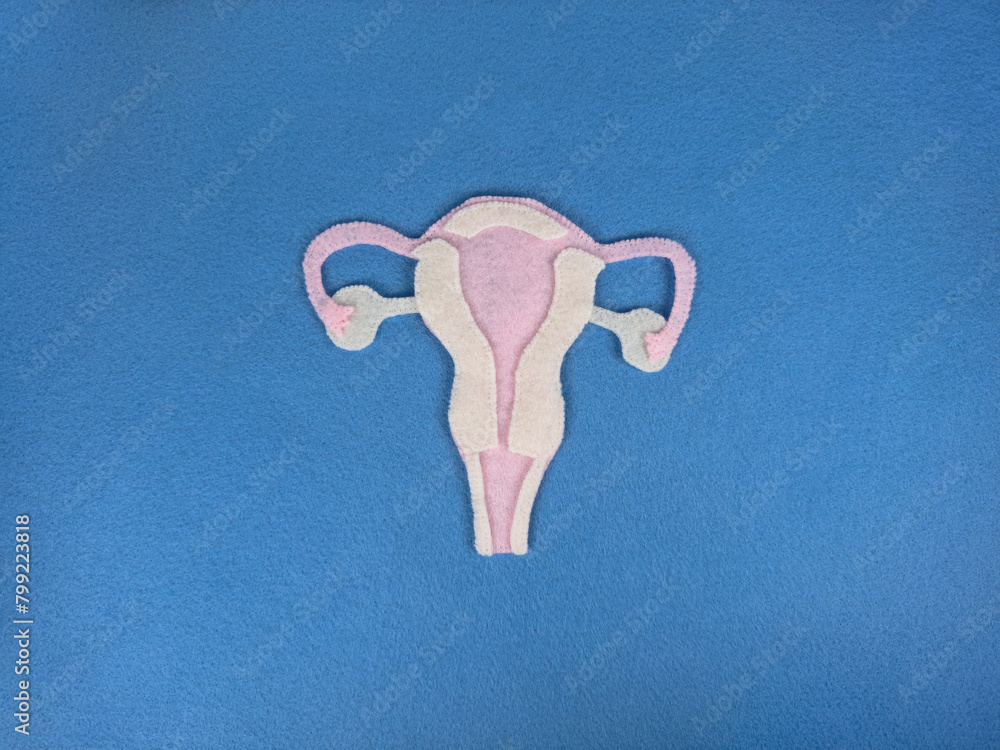 Cut out felt textured design shaped like a cervix on a blue felt ...