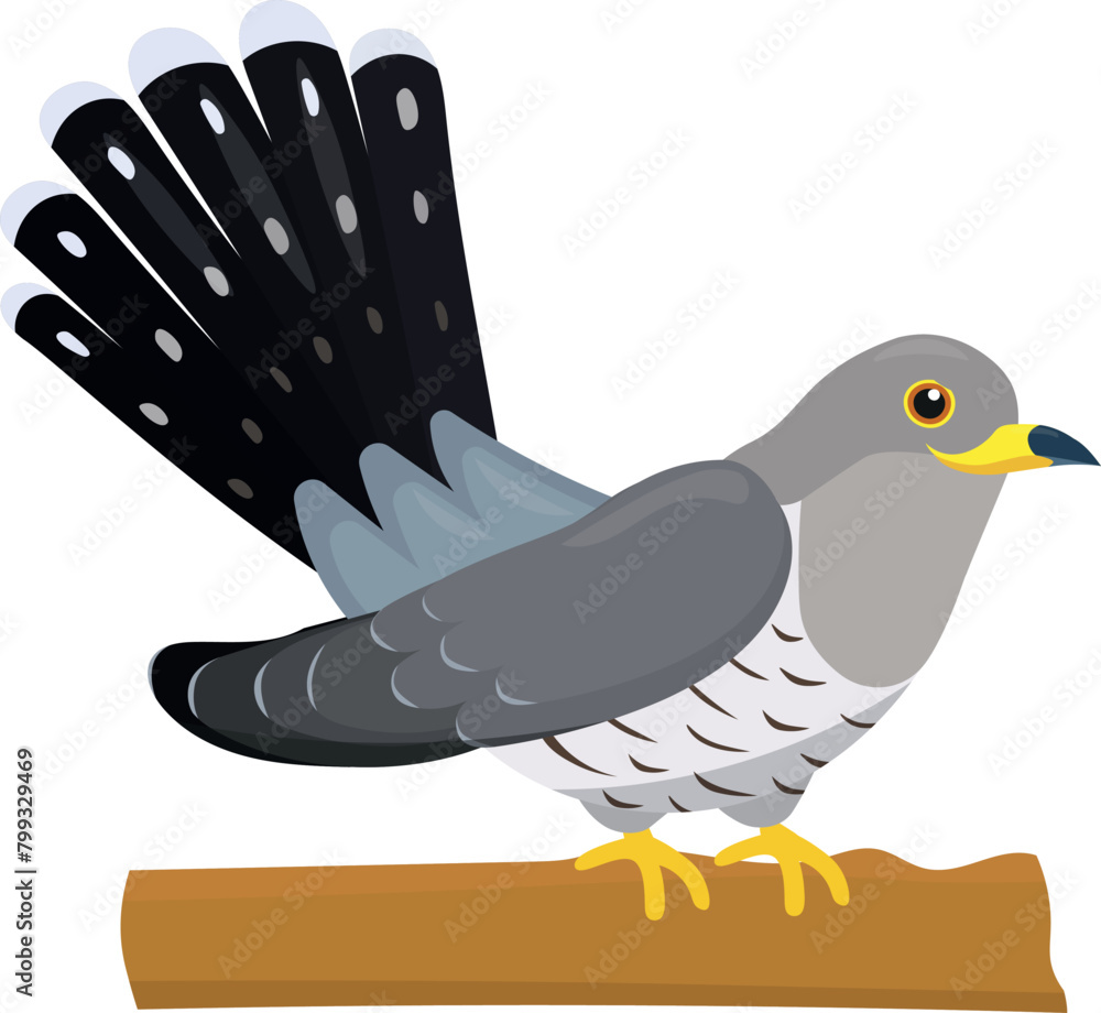 Common cuckoo bird on branch, cartoon illustration isolated on white ...