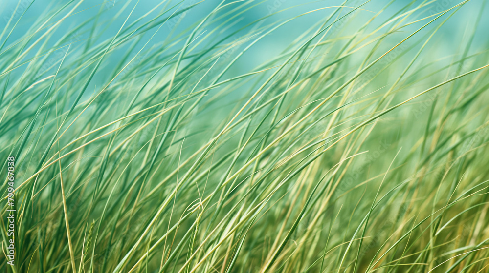 Abstract natural background depicting a close-up of green grass with a ...