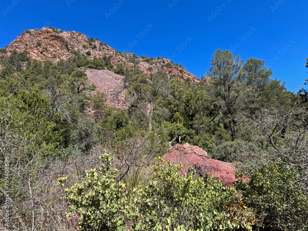 Springtime view from the Gowan trail of the red rocky mountain ...