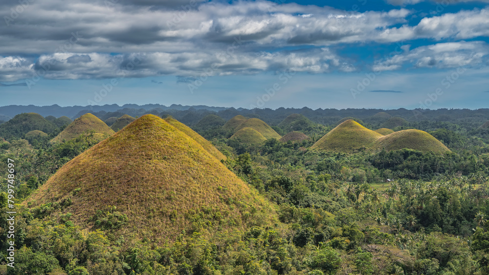 Many amazing conical hills covered with brownish grass extend in the ...