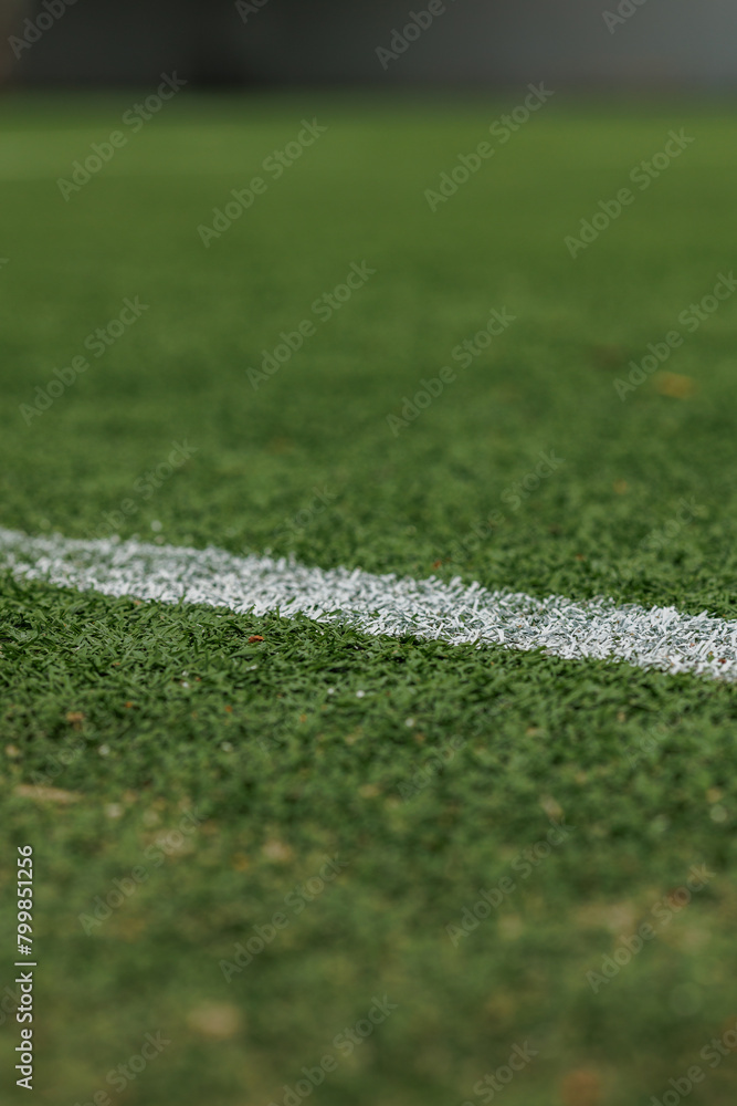 Green Soccer Field or Football Field front View with Grass Texture and ...