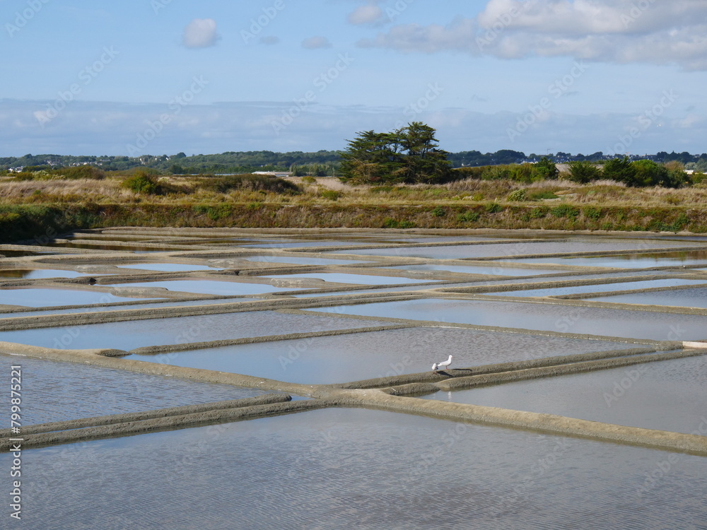 Sea water salt pans, near city le Croisic, France, are used for the old ...