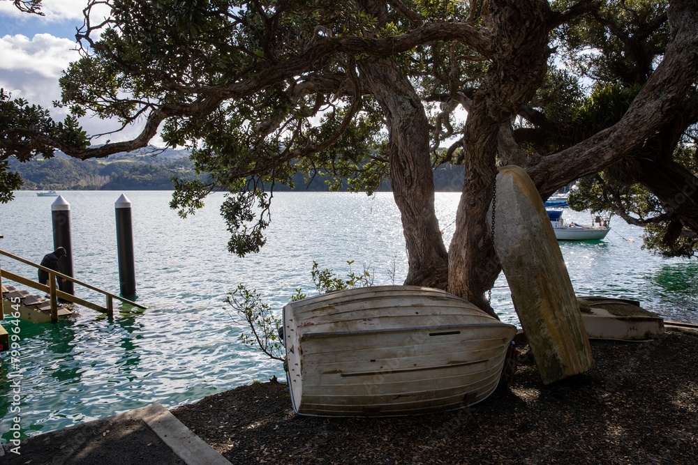 Small row boats leaning against a pohutukawa tree at Ti Point, Leigh ...