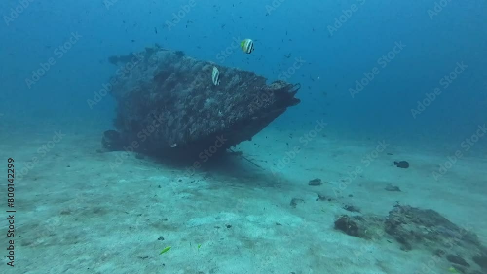 Underwater landscape. A sunken ship on the sandy seabed. Small fish ...