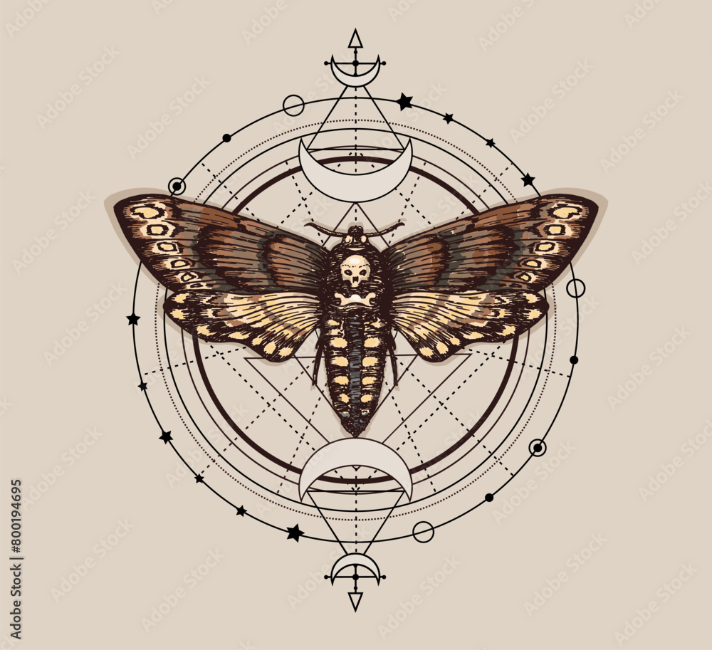 Death's-head hawk moth and sacred geometry lines. Witchcraft, occult ...