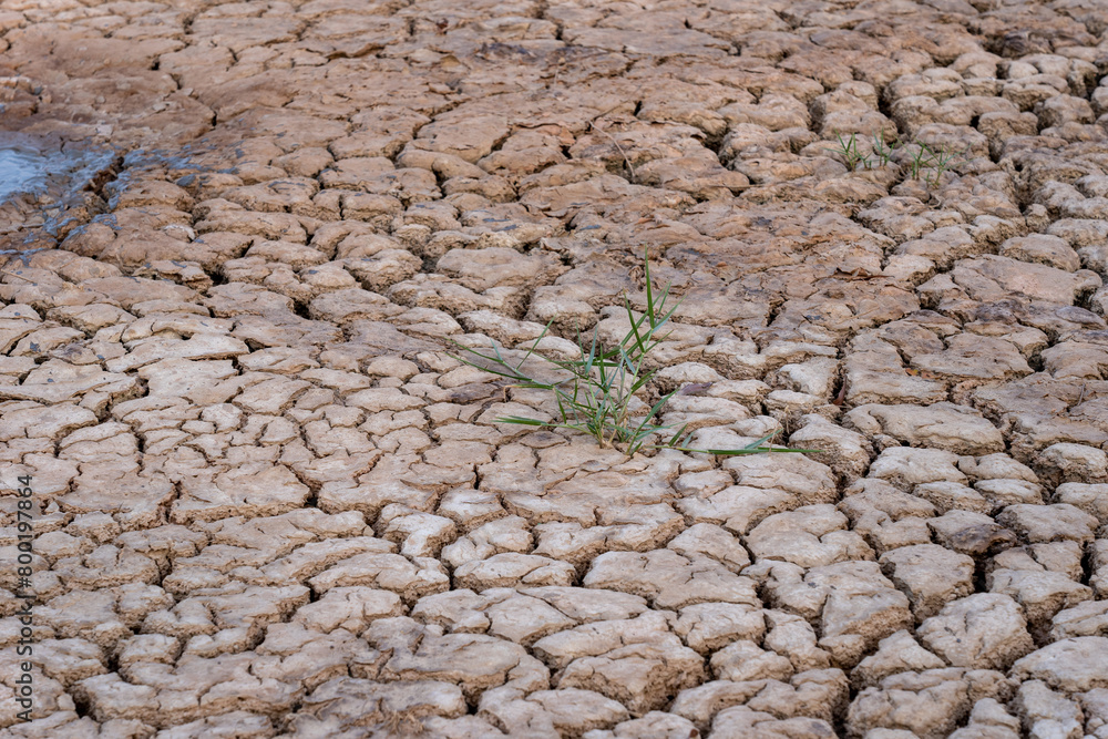 dry land in the dry season Drought, ground cracks, no hot water.Natural ...