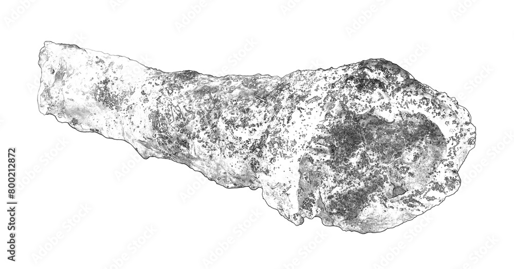 Fried chicken meat isolated over white background, food clipart ...