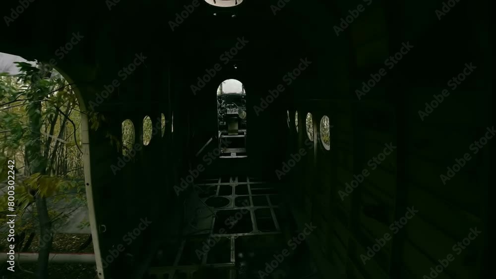 Looking inside of the crashed plane in the woods. Exploring the ...