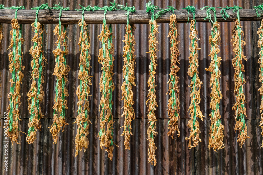 Daikon drying on the Yamanobe no Michi trail, Nara, Japan Stock Photo ...