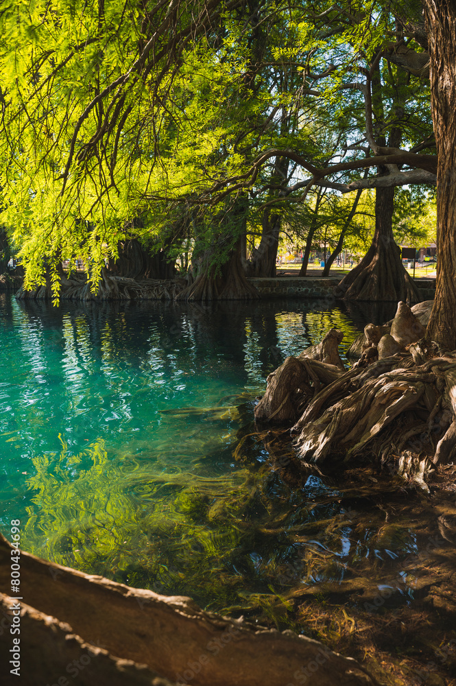 Beautiful lake of Camecuaro Michoacán, Mexico, with its amazing ...