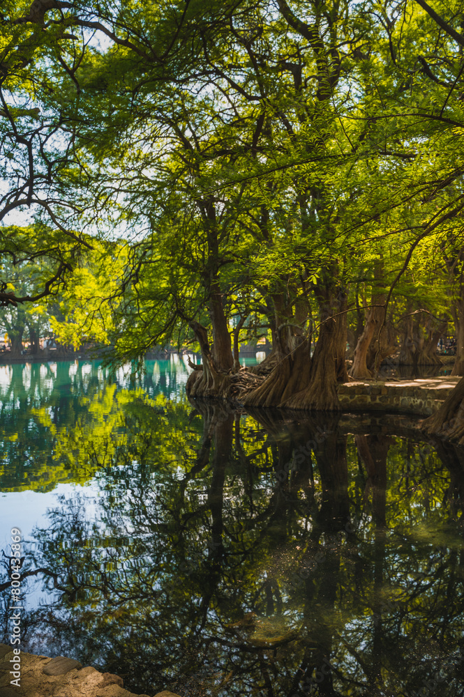 Beautiful lake of Camecuaro Michoacán, Mexico, with its amazing ...