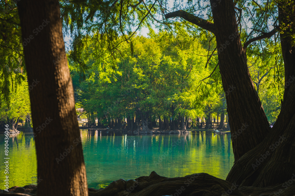 Beautiful lake of Camecuaro Michoacán, Mexico, with its amazing ...