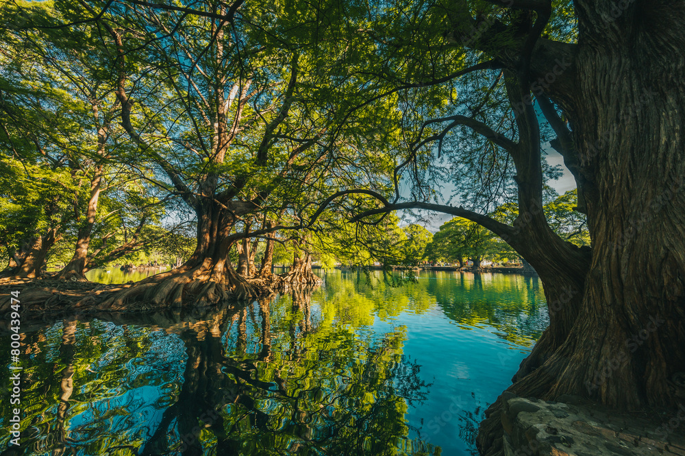 Beautiful lake of Camecuaro Michoacán, Mexico, with its amazing ...