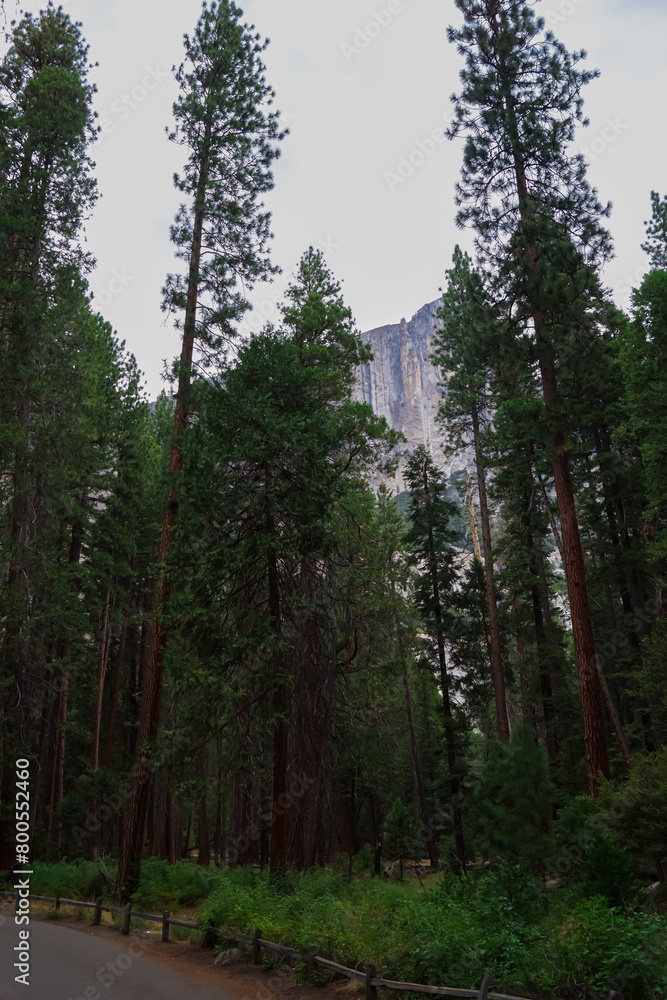 Great vistas of massive granite monoliths El Capitan seen from dense ...