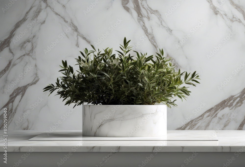 'podium olive leaves product marble tree White presentation poduim ...