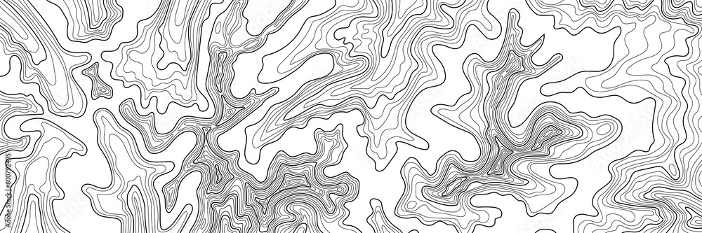 Geographical map, contour map, black lines on white background, vector ...