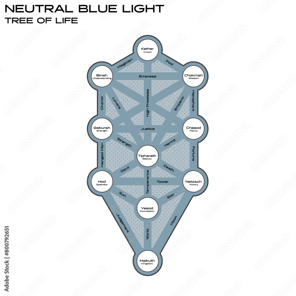 Blue Light Tree Of Life Diagram Stock Vector | Adobe Stock