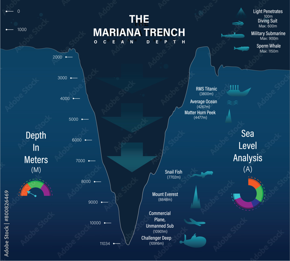 Poster Vector mariana trench sea illustration, infographics or analysis ...