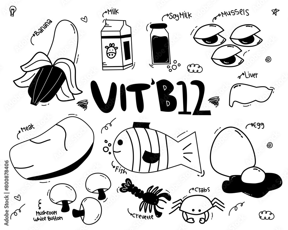 Line art vector hand drawn doodles cartoon set of vitamin b12 food ...