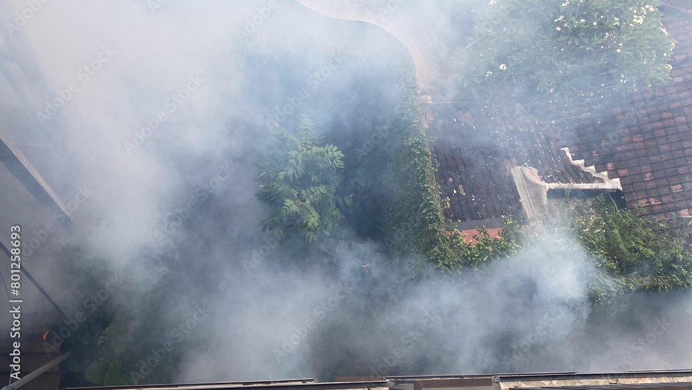 pest control worker fogging insecticide smoke outdoor garden eliminate ...