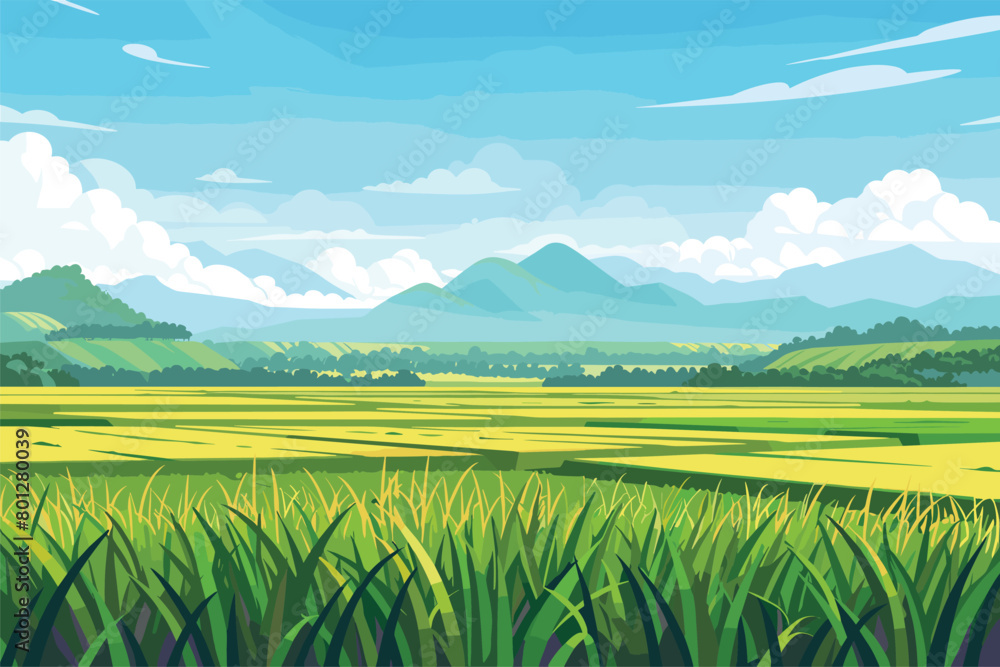 Green Rice field, Wide rice field, Rice field landscape background ...