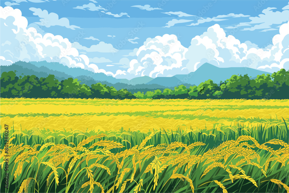 Green Rice field, Wide rice field, Rice field landscape background ...