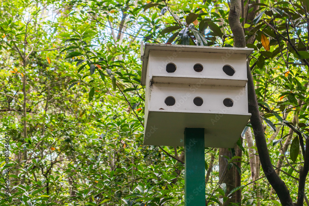 Multi hole white bird house on green wood beam in woodland park Stock ...