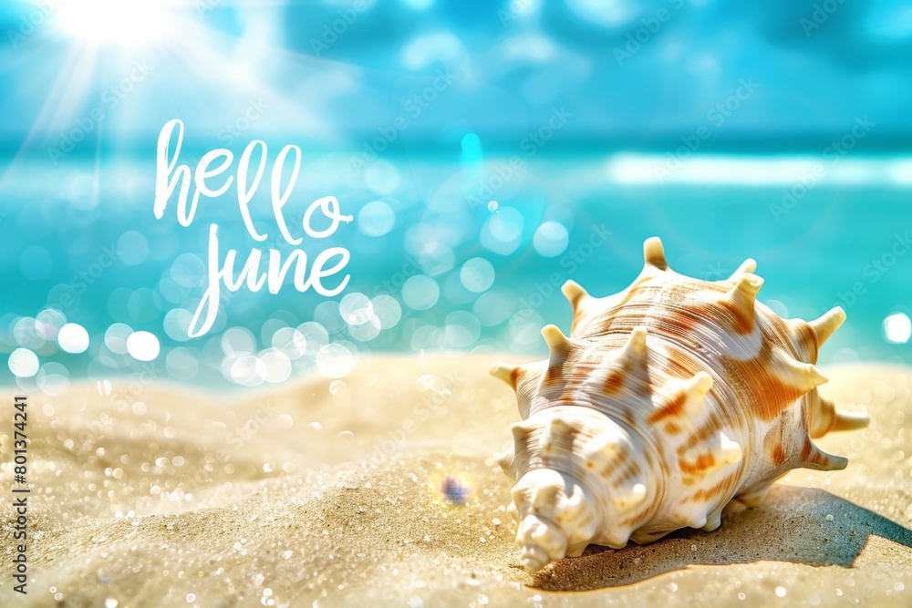 beach background with conch shell and sand Text says "hello june ...