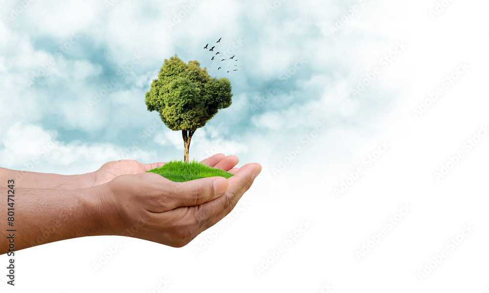 World Environment Day 2024 concept - Land restoration, desertification ...