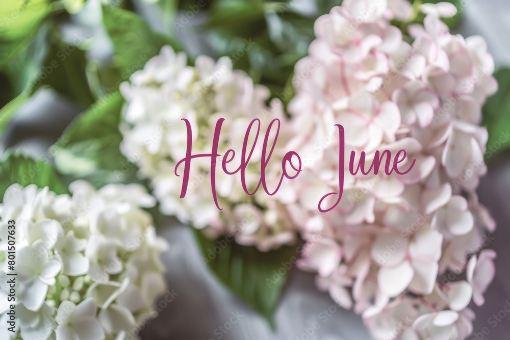 "Hello June" written in pink cursive font on a pastel background ...
