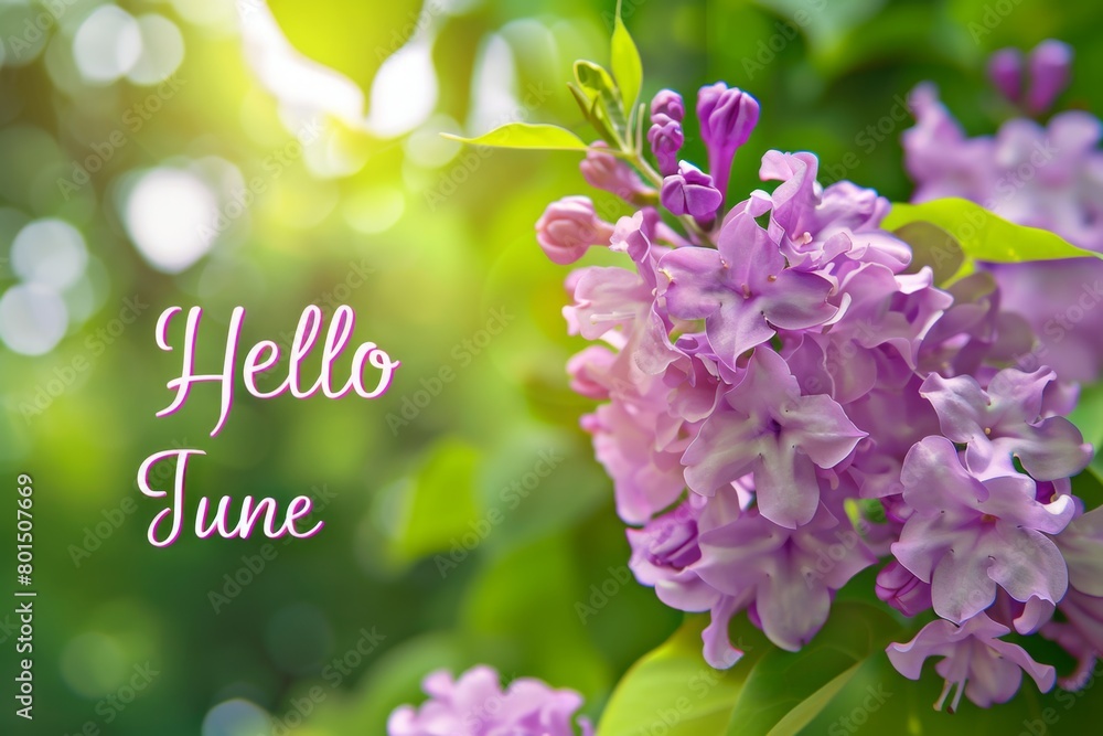 "Hello June" written in pink cursive font on a pastel background ...