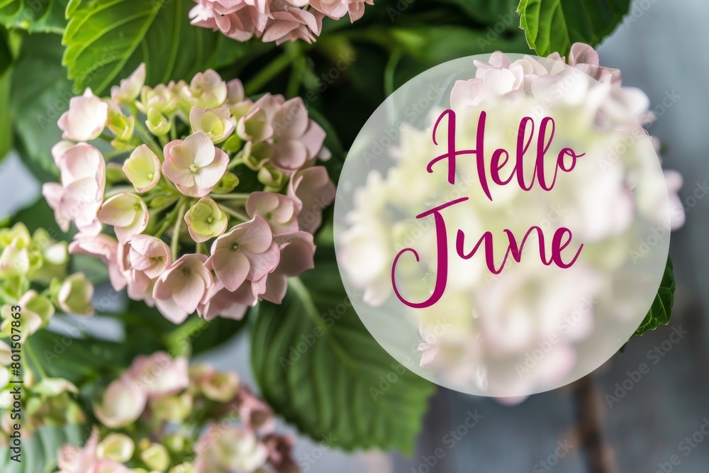 The text "Hello June" is written in pink cursive font on the circle and ...
