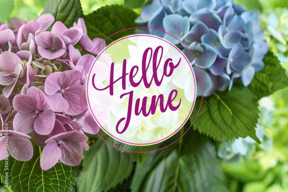 The text "Hello June" in pink cursive font, on top of a photo of ...