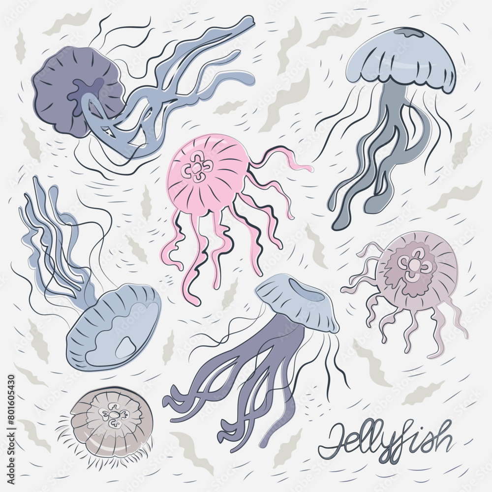 artistic vector illustration of jellyfish. Hand drawn marine life ...