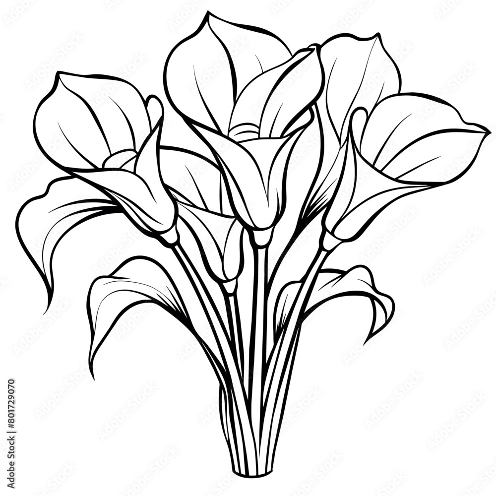 Calla Lily Flower Bouquet outline illustration coloring book page ...