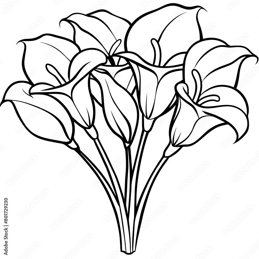 Calla Lily Flower Bouquet outline illustration coloring book page ...