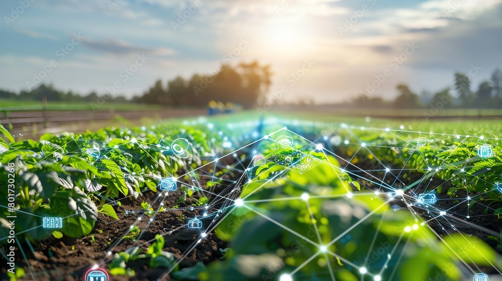 The future of farming is here. With the help of technology, farmers can ...